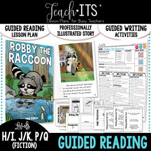 Robby the Raccoon | Distance Learning - Simply Skilled Teaching