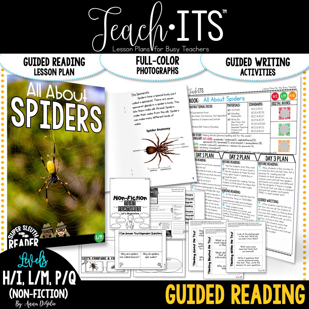All About Spiders | Distance Learning - Simply Skilled Teaching