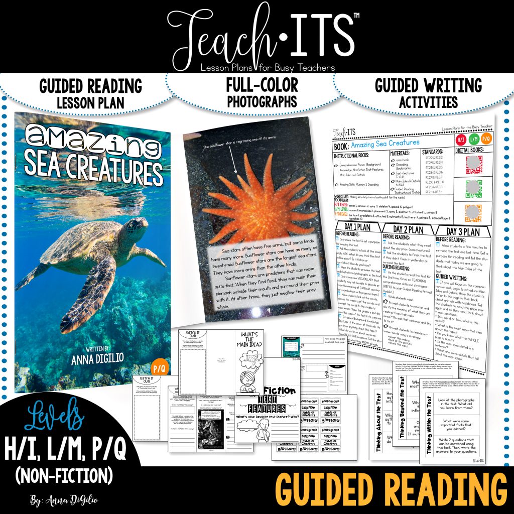 Amazing Sea Creatures | Distance Learning - Simply Skilled Teaching